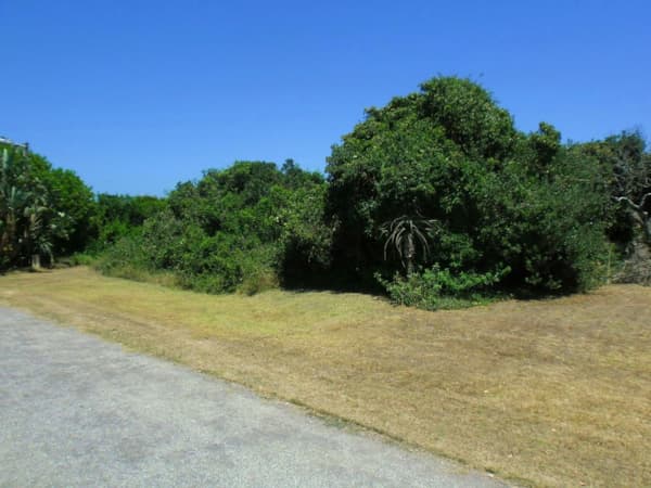 37 Boknesstrand Property and Houses For Sale - Pam Golding Properties