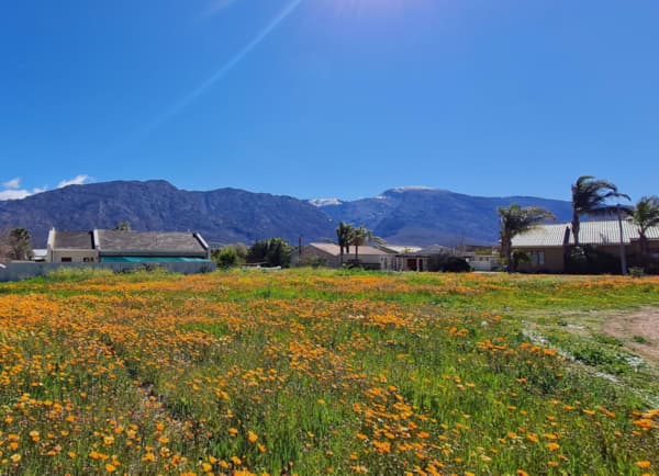 Boland (Winelands) Farms For Sale - Pam Golding Properties