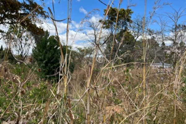 341 Zimbabwe Property and Houses For Sale - Pam Golding Properties