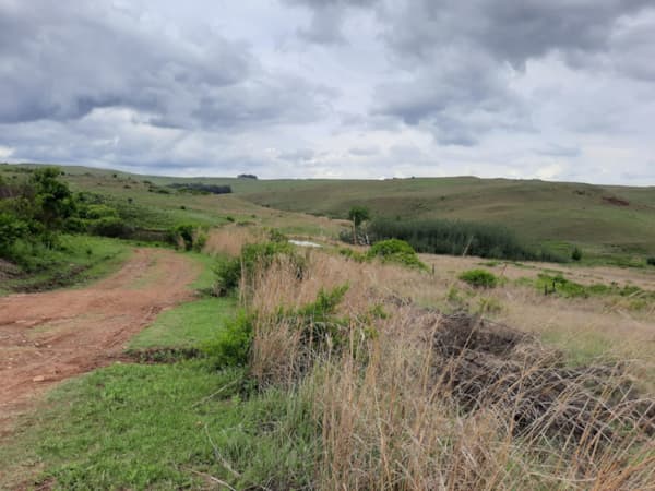 1.1 hectare Vacant Land For Sale | Dullstroom | 1DS1618914 | Pam ...