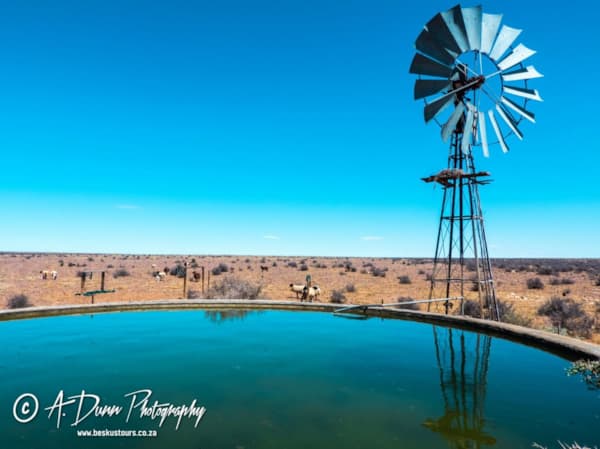 54 Northern Cape Farms For Sale - Pam Golding Properties