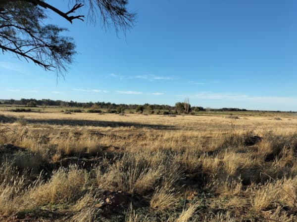 46 Northern Cape Farms For Sale - Pam Golding Properties