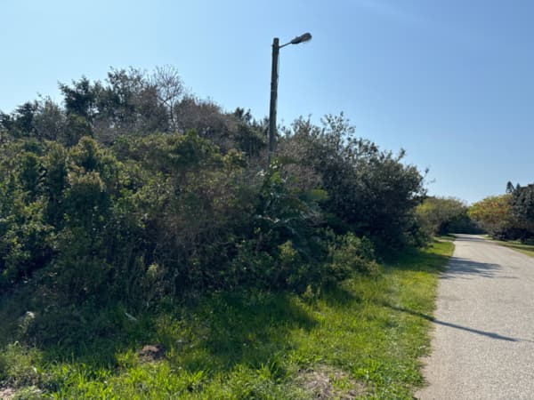 25 Boknesstrand Property and Houses For Sale - Pam Golding Properties