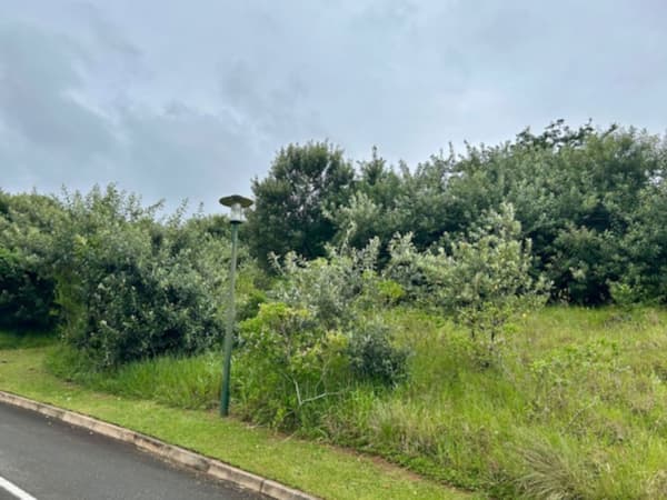 1341 m2 Residential Vacant Land For Sale | Simbithi Eco Estate ...