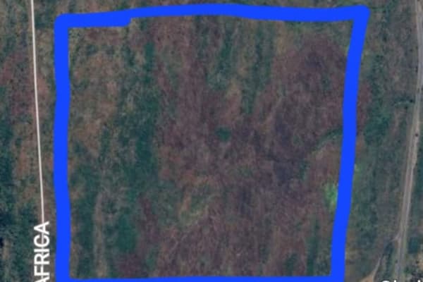 100 hectare Farm Vacant Land For Sale | Moamba (Mozambique ...