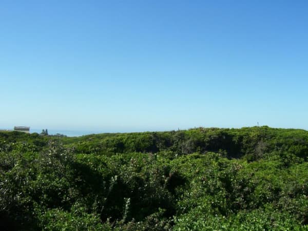 766 m2 Vacant Land For Sale | Boknesstrand | 1KO1656254 | Pam Golding ...