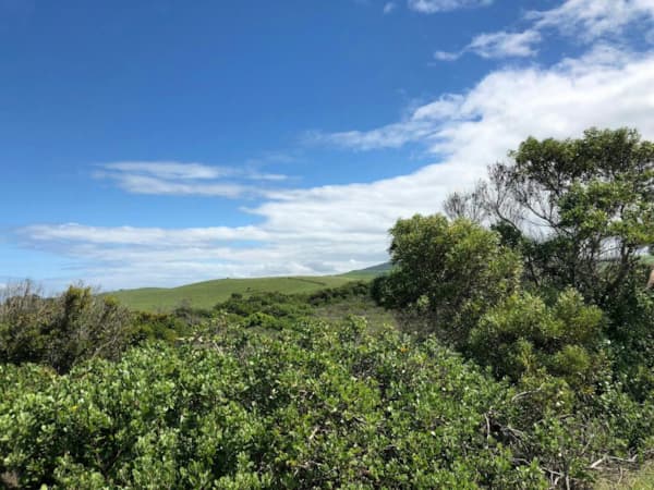 70 Eastern Cape Farms For Sale - Pam Golding Properties